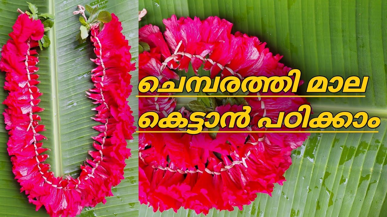 ചെമ്പരത്തി മാല കെട്ടാൻ പഠിക്കാം #padma #undamala #pirimala #vanamala ...
