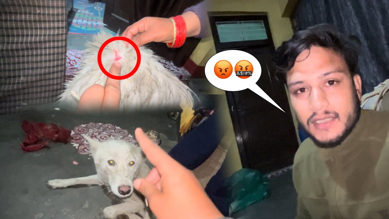 Mere Dog Par Hua Attack😡 - YouTube
