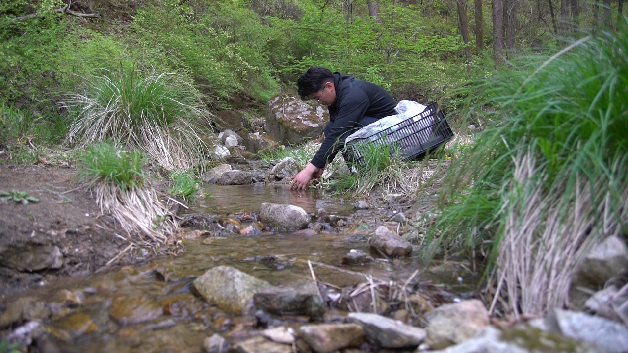 [ASMR] plop plop - YouTube