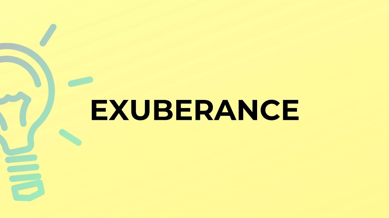 What is the meaning of the word EXUBERANCE? - YouTube