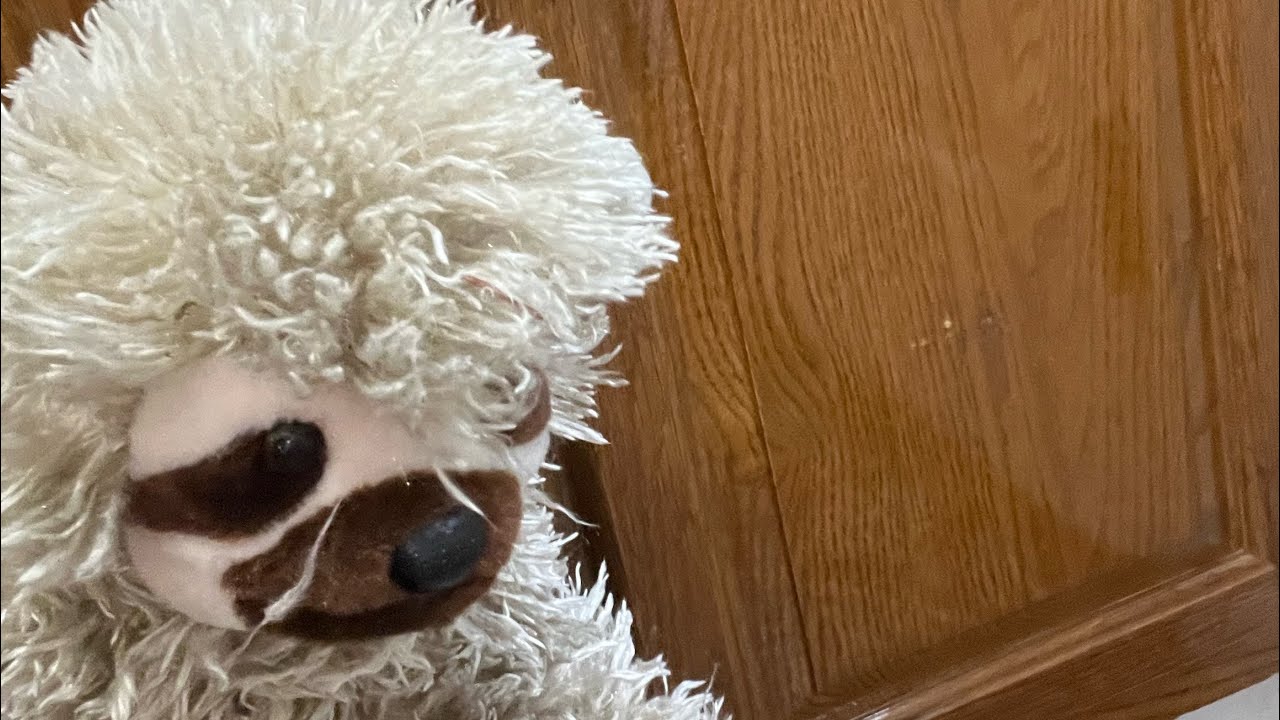 Plushies and PUPPETS- Jail - YouTube