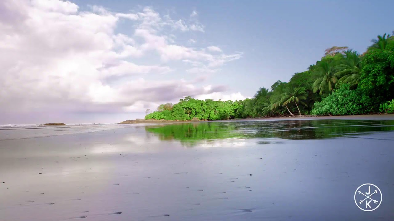 abc kids Live Stream - YouTube