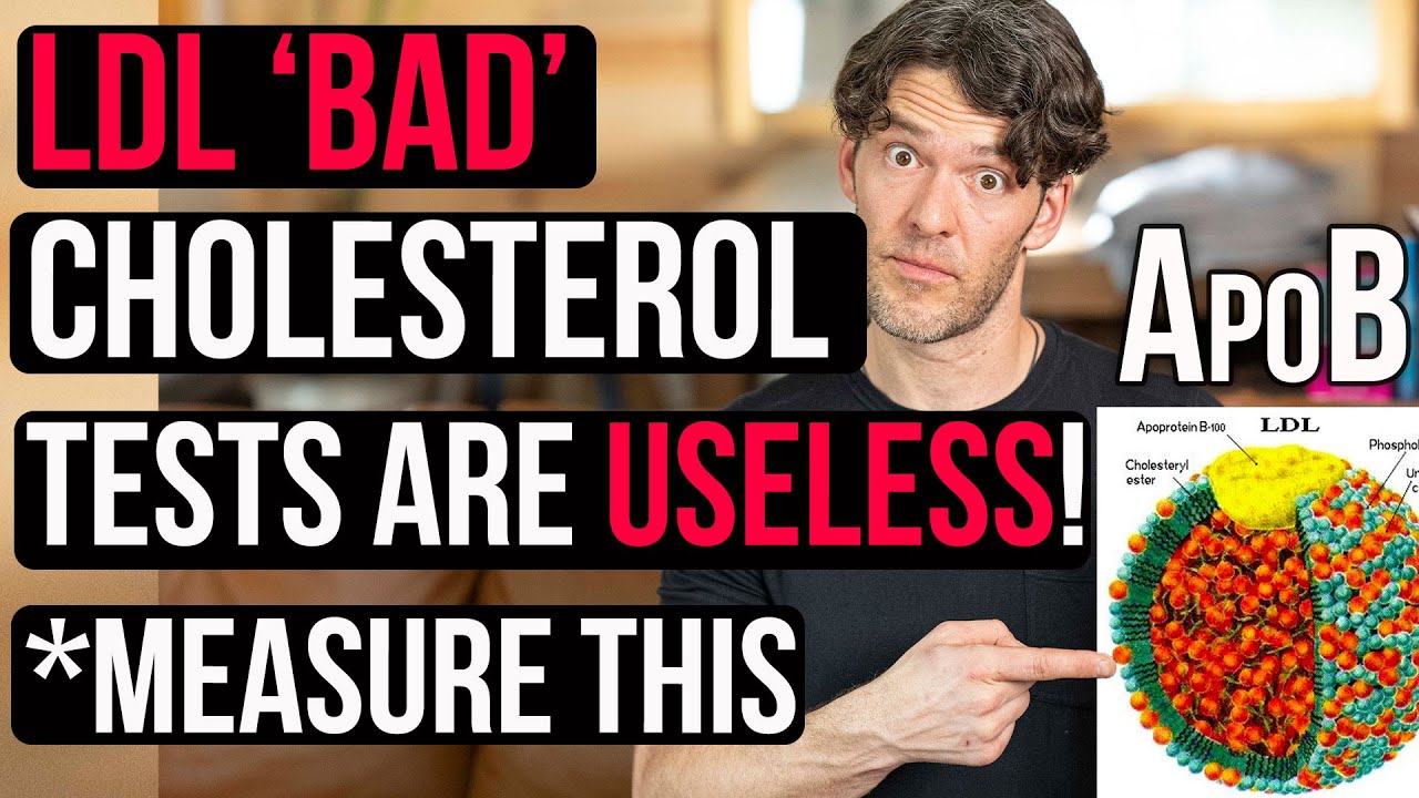 LDL-Cholesterol is USELESS! Measure this Instead: ApoB - YouTube