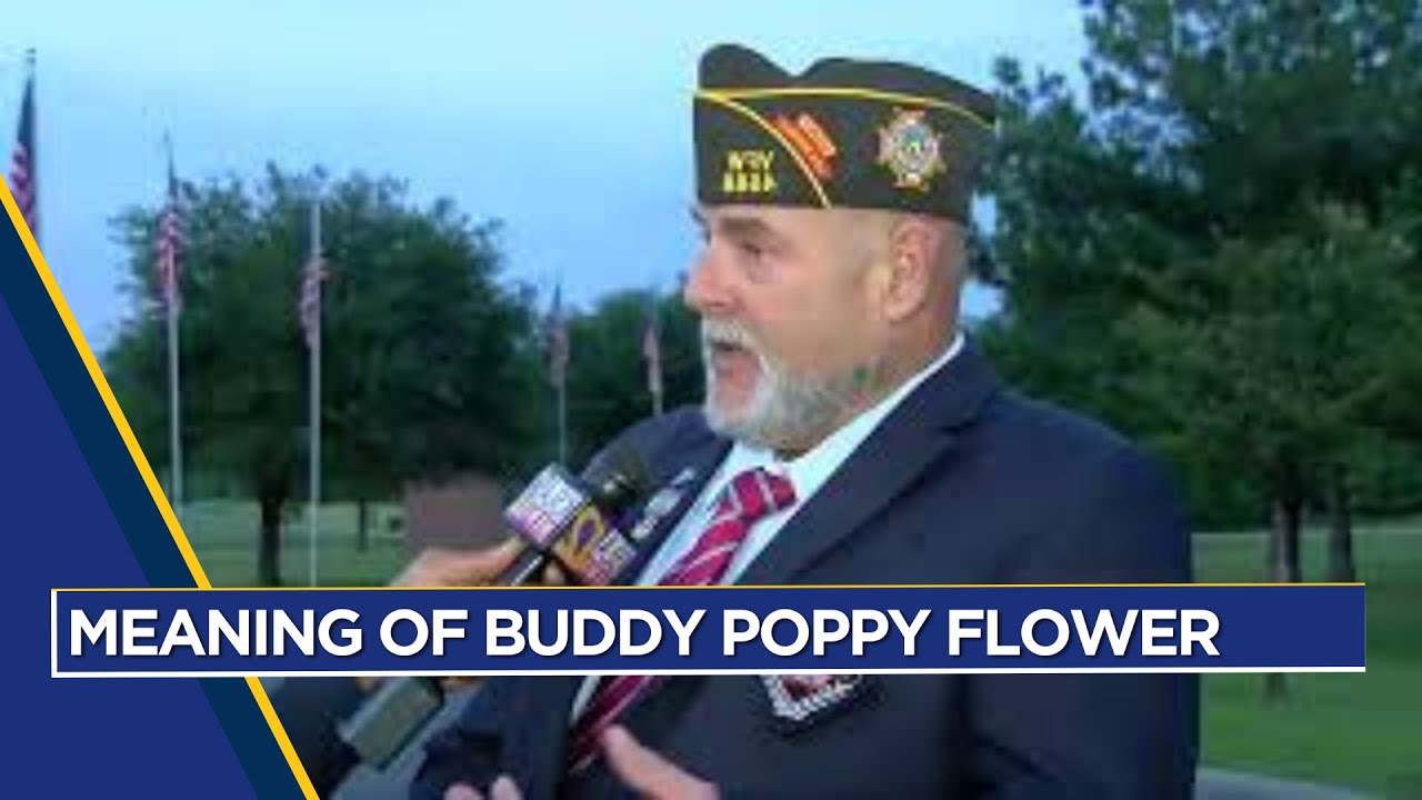 Meaning behind the Buddy Poppy flower - YouTube