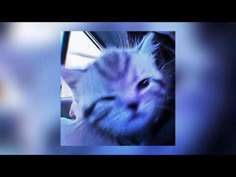 Pop like this-(speed up)