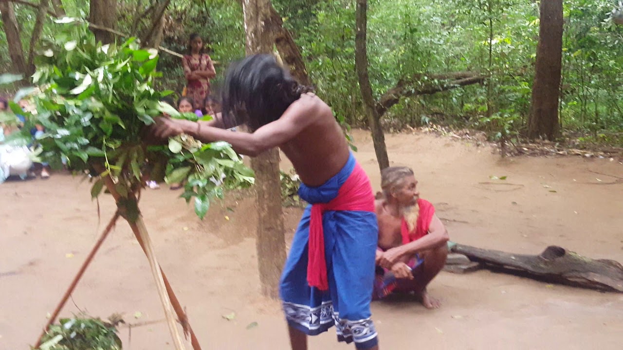Kiri Koraha, Mahiyanganaya, Sri Lanka - YouTube