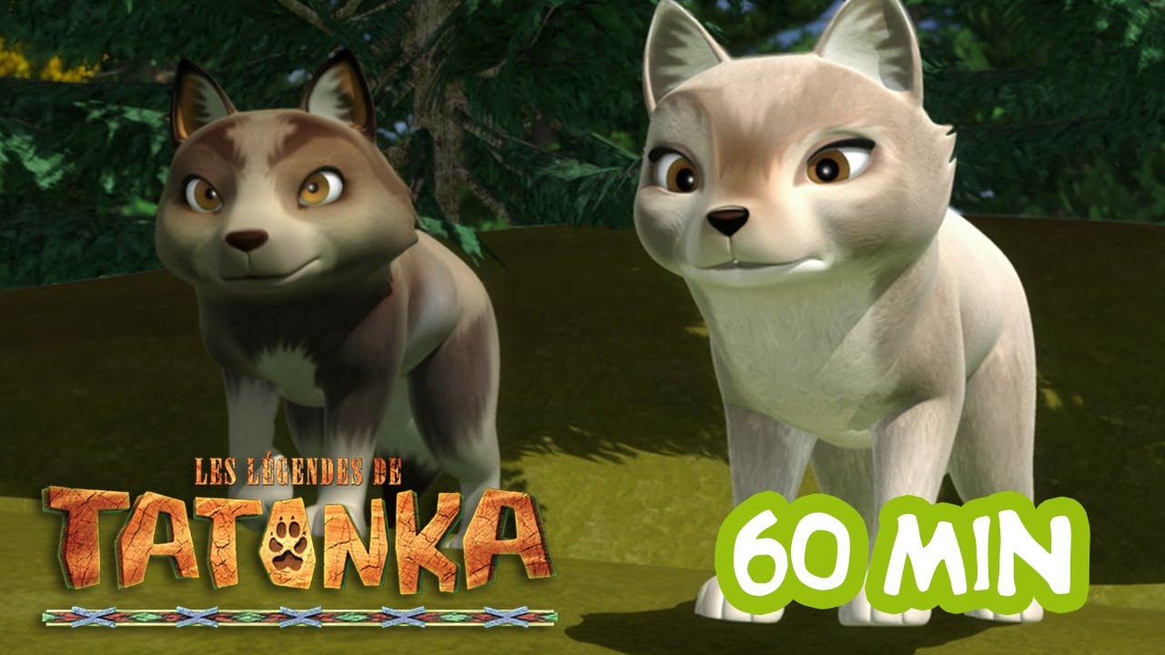 1h De Tatonka 🐺 Nouvelle Compilation Dessins Animés En Français Youtube