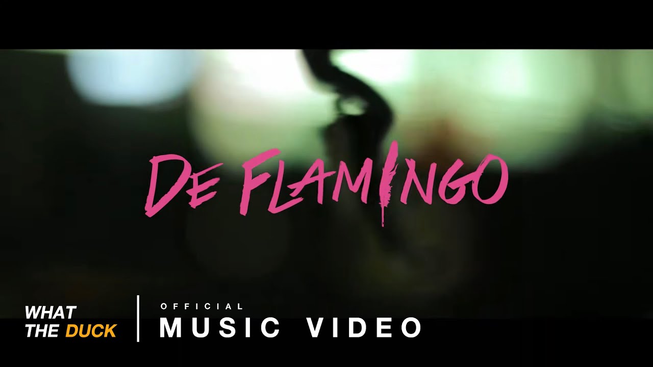 De Flamingo - คนสำคัญ (Once) [Official MV] - YouTube