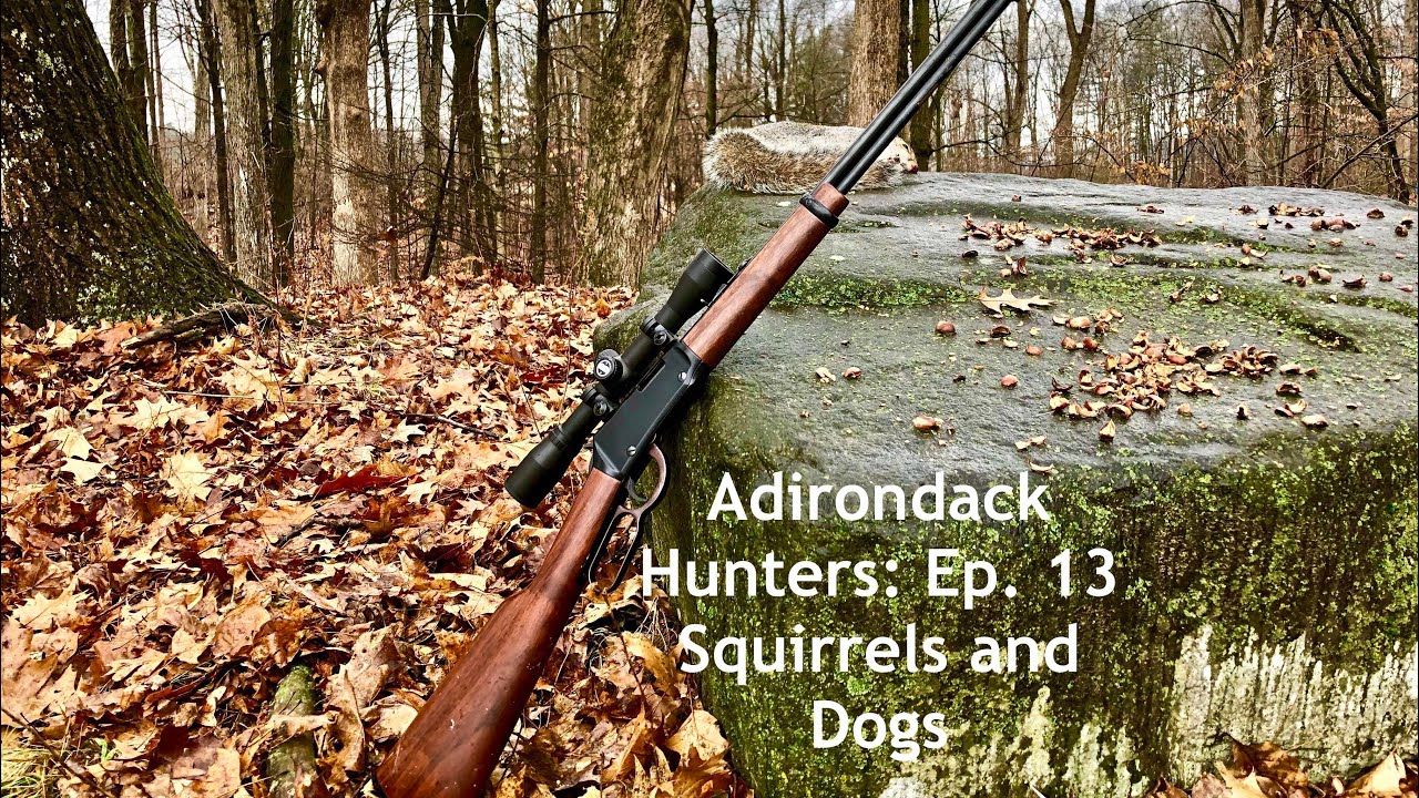 Ep. 13 Squirrel Shooting and Hunting with Dogs - YouTube