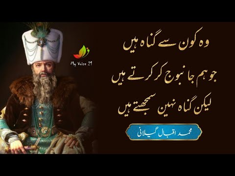 Wo Kon Say Gunah Hai Jo Hum Jan Boj Kar Karte Hai | Sad Quotes | کبیرہ ...