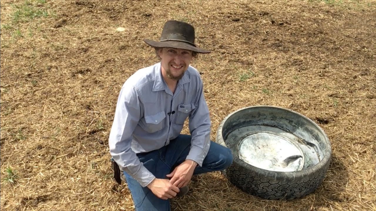 My -FREE- DIY Mineral/Salt Feeder - YouTube