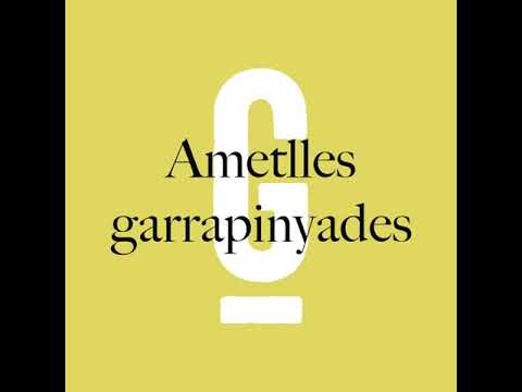 RECEPTA - AMETLLES GARRAPINYADES - YouTube