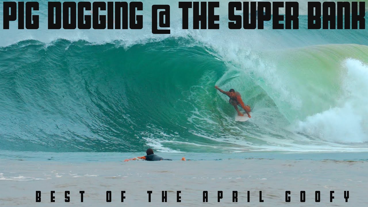 Pig Dogging at the Superbank April 2022 Surfing Australia - YouTube