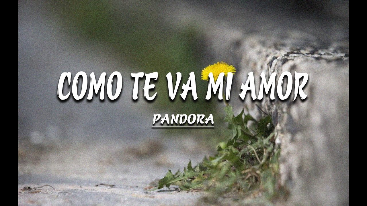 Pandora - Como Te Va Mi Amor (Letra) - YouTube