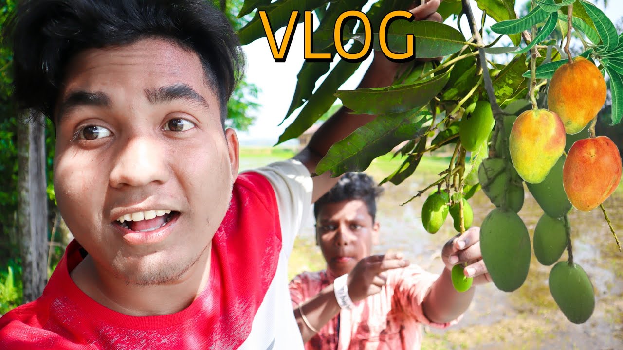 Most craziest Mango Eating || Vlog - YouTube
