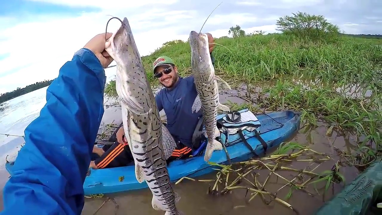 Pescaria no Rio Madeira, Porto VelhoRO - YouTube