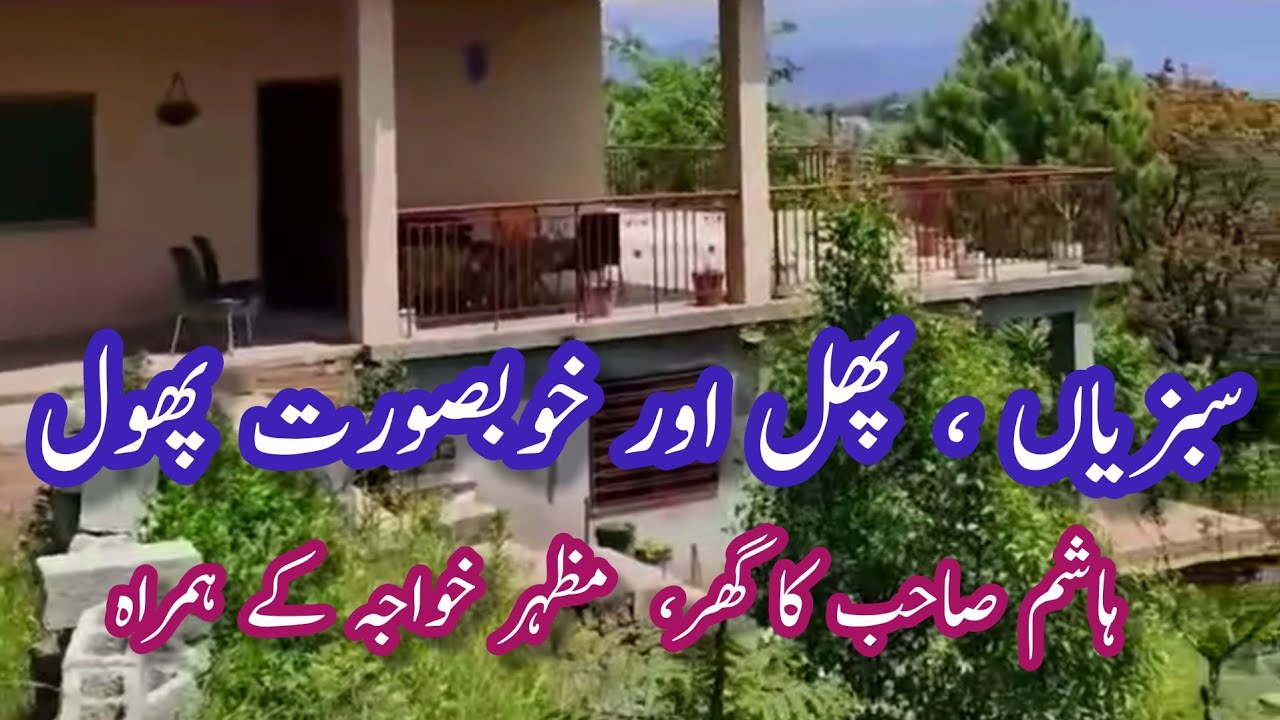 Kitchen Gardening in Murree Aliot Baaghbaan House | Very attractive ...