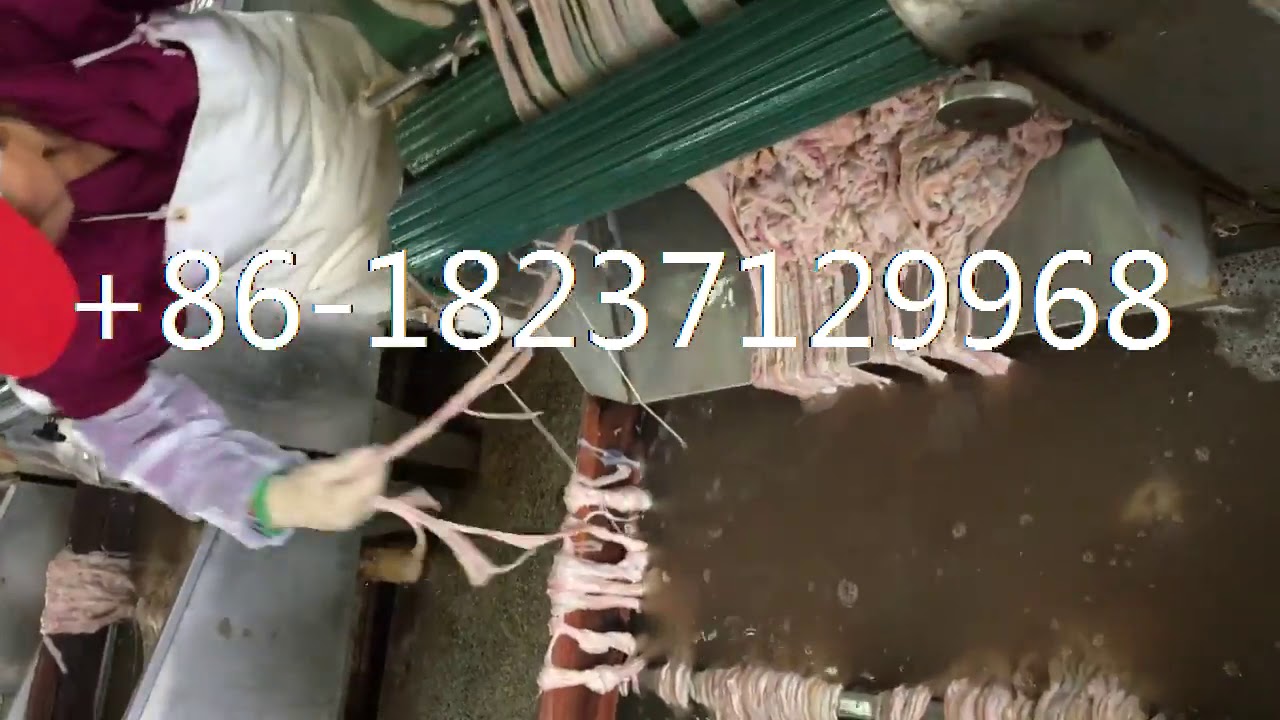 automatic lamb beef pork intestines casing washing cleaning machine ...