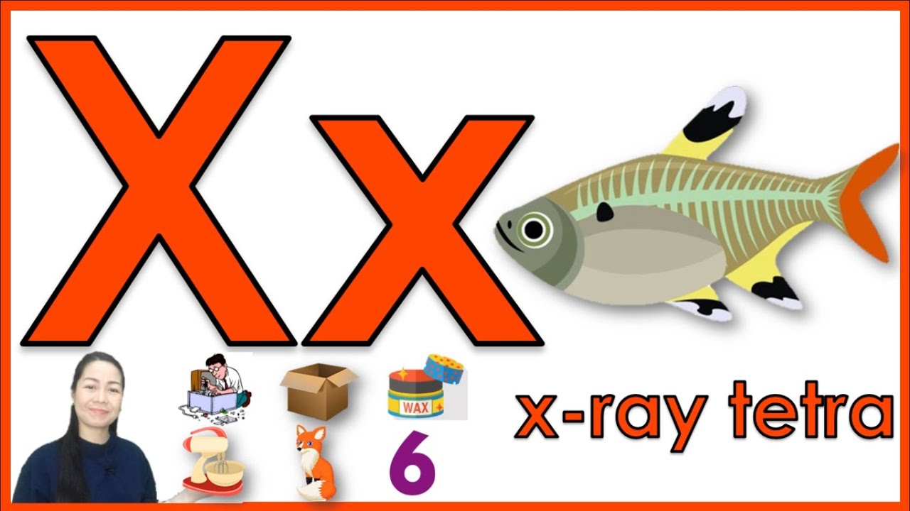 LETTER Xx SOUND || KINDERGARTEN LESSON - YouTube