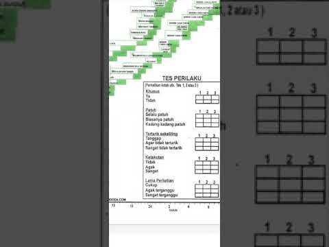 pengisian kotak tes perilaku anak pada lembar DENVER II/ DDST II (BAYI ...