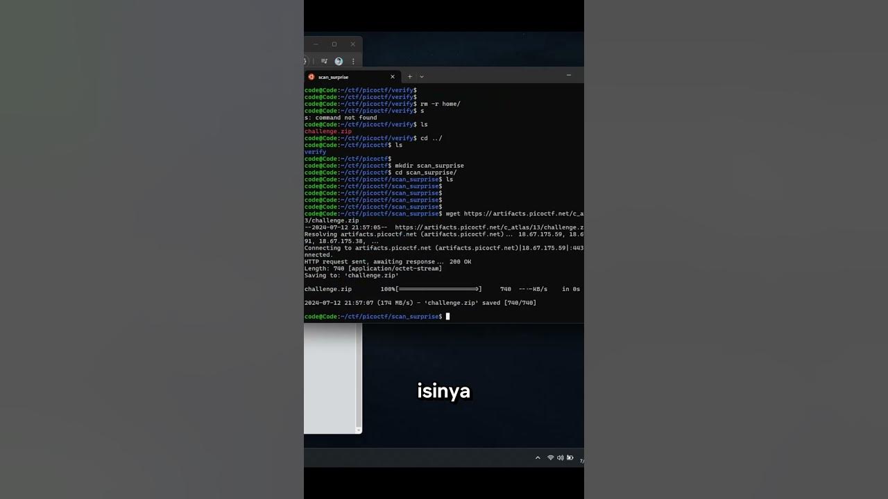 Cara Selesaikan Scan Surprise PicoCTF - YouTube
