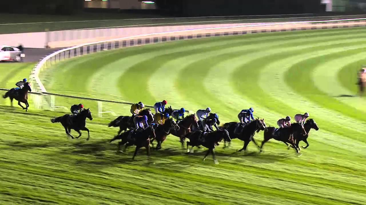 DWCC Meydan Racecourse 28-1-16, Race 4 Al Rashidiya Sponsored by The ...