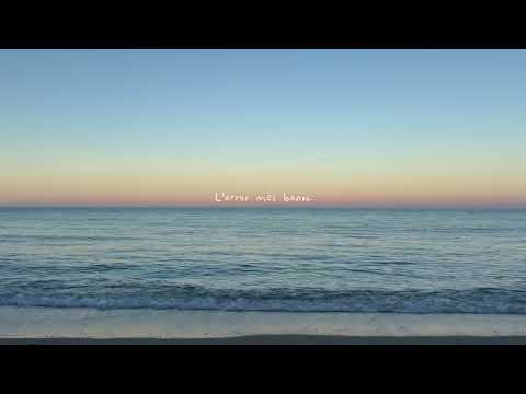 Sara Roy, Judit Neddermann, Pau Figueres  - L'error més bonic (Lyric Video)