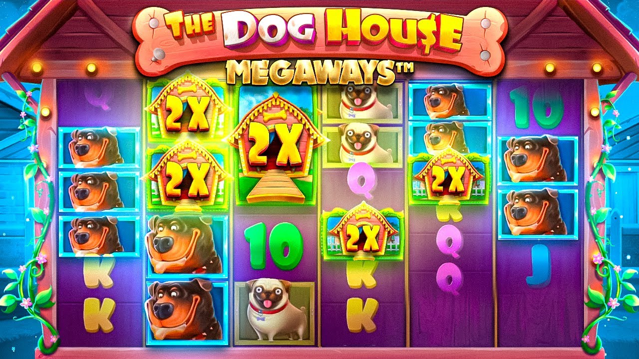 HE JUST SMASHED THIS DREAM WIN ON DOG HOUSE MEGAWAYS! - YouTube
