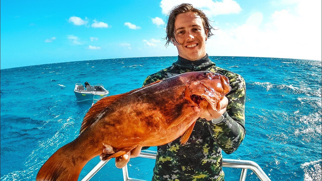 5 DAYS AT SEA Spearfishing Coral Trout - Catch n Cook! - YouTube