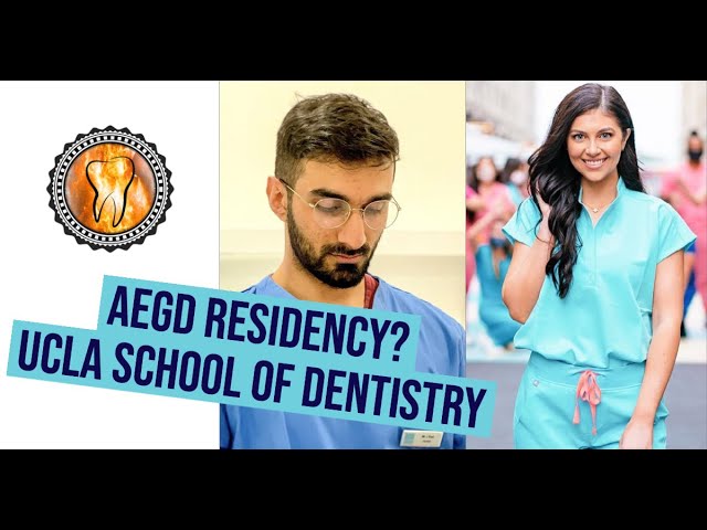 Ucla School Of Dentistry Clinic Venice