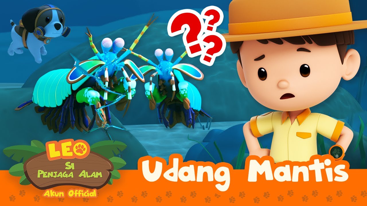 Udang Mantis | Leo Si Penjaga Alam | #minisode - YouTube