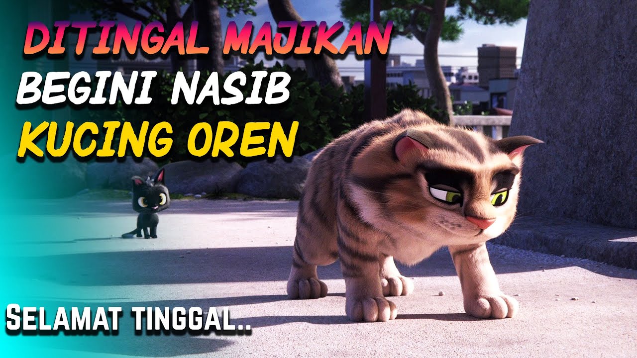 KUCING OREN DIBUANG OLEH MAJIKANNYA | Alur Film RUDOLF THE BLACK CAT ...