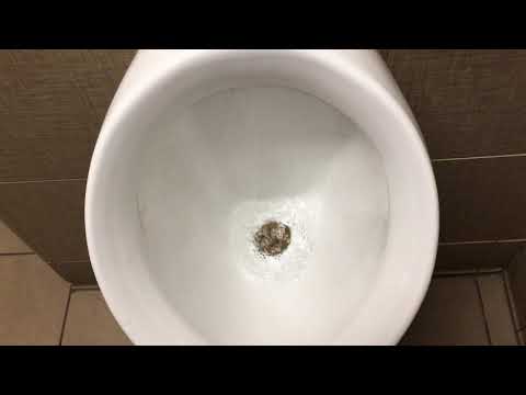 🚽 Bathroom Tour  Interesting toto Urinal and Kohler Toilet at KFC Fairfax, VA