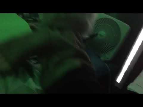 Squirrel explodes a school - YouTube