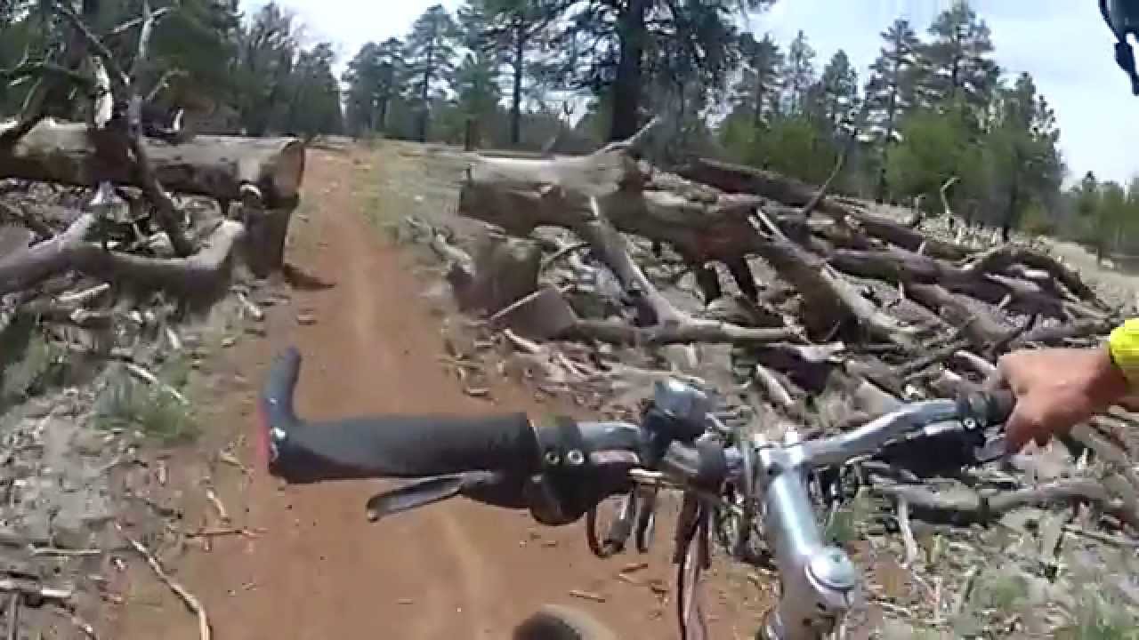 Mountain Biking Campbell Mesa Loop in Flagstaff, Arizona - YouTube