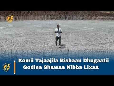 Komii Tajaajila Bishaan Dhugaatii Godina Shawaa Kibba Lixaa - YouTube