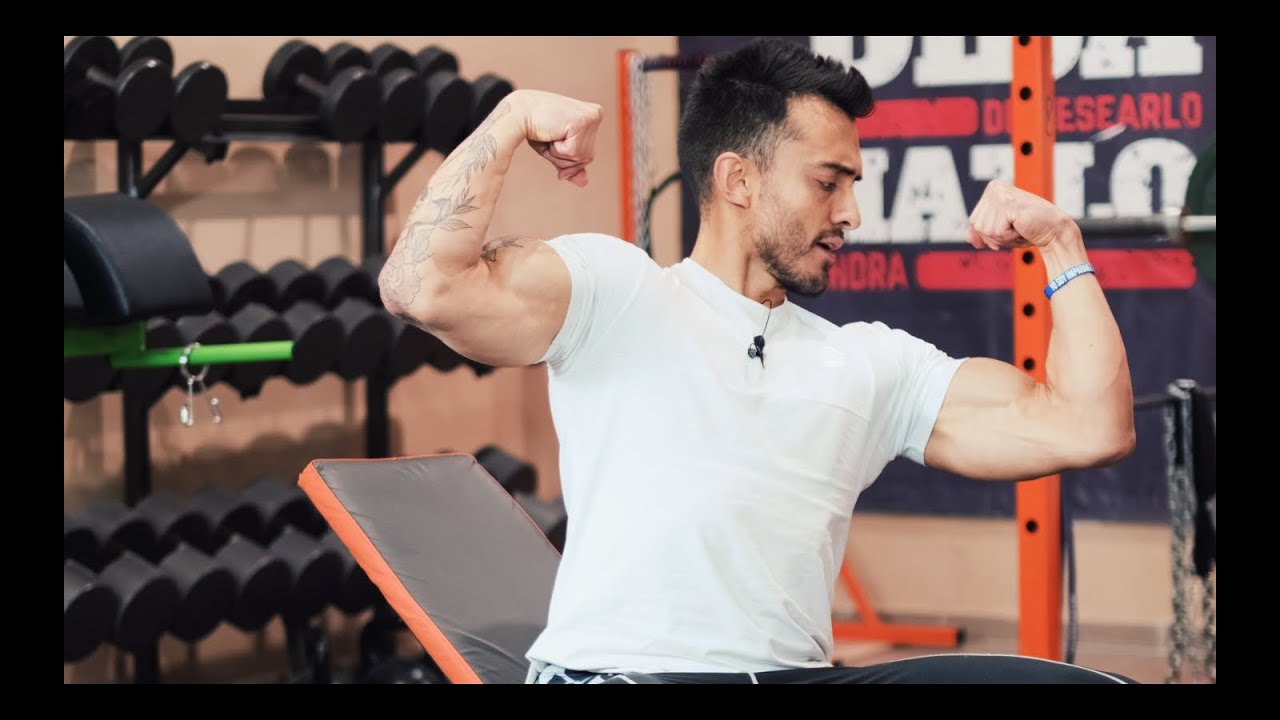 La conexión mente-músculo - Te sorprenderás con lo que puede hacer TU ...