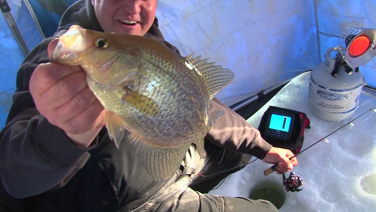 Lake Mille Lacs Panfish on Ice with Tony Roach - YouTube