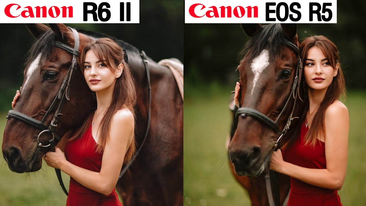 Canon Eos R6 II VS Canon Eos R5 Autofocus Camera Comparison YouTube