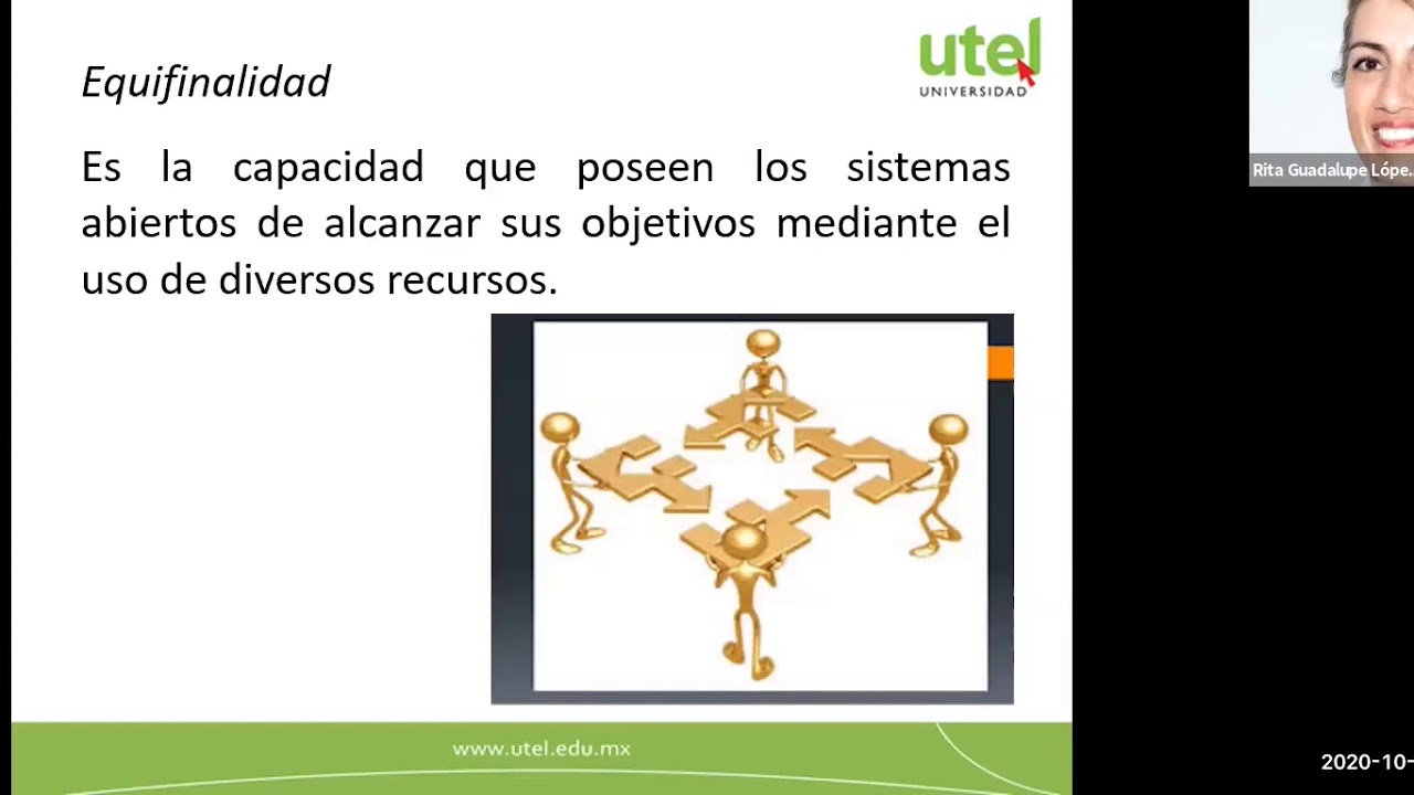 Equifinalidad - YouTube