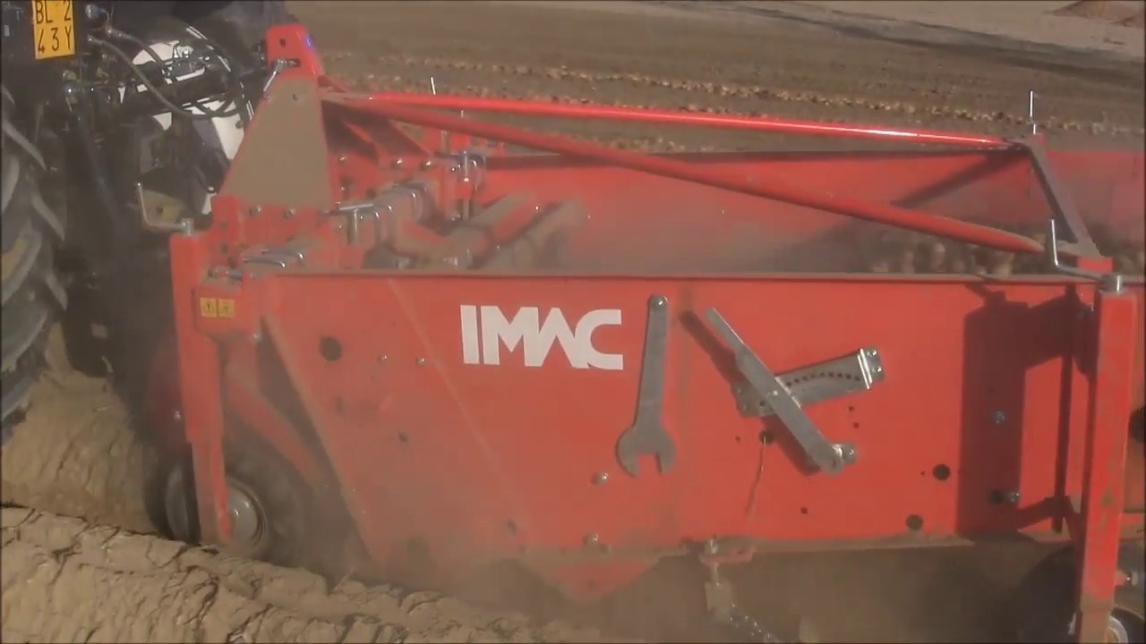 Scava patate IMAC PD-1650 - Potato digger - YouTube