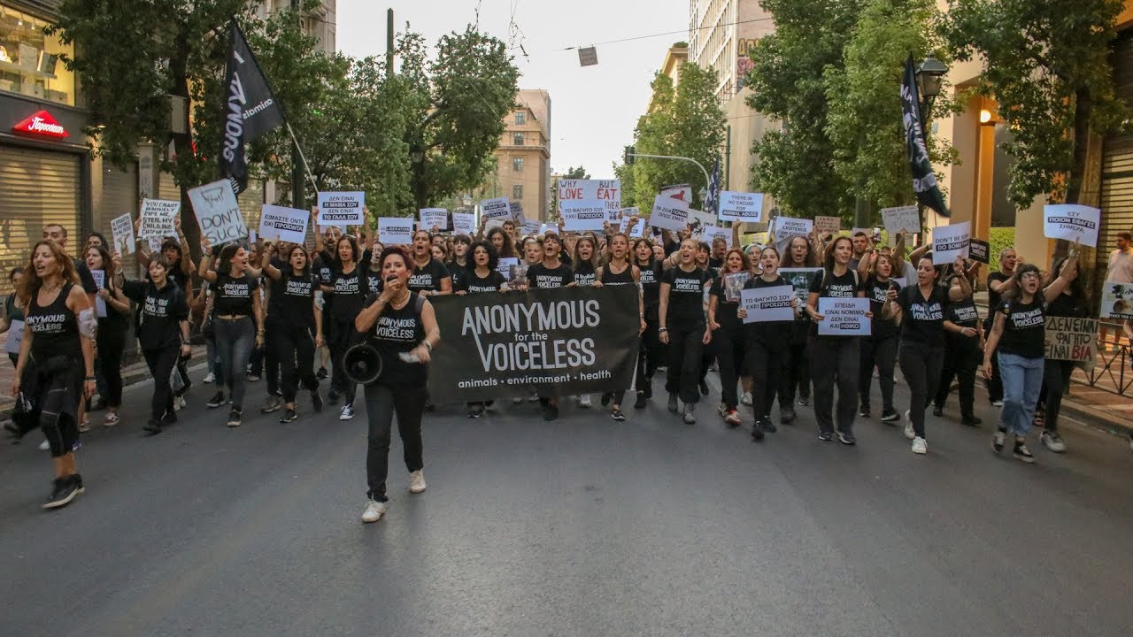 ΠΑΓΚΟΣΜΙΑ ΗΜΕΡΑ ΖΩΩΝ | Η ΕΠΙΣΗΜΗ ΠΟΡΕΙΑ ΓΙΑ ΤΑ ΔΙΚΑΙΩΜΑΤΑ ΟΛΩΝ ΤΩΝ ΖΩΩΝ ...