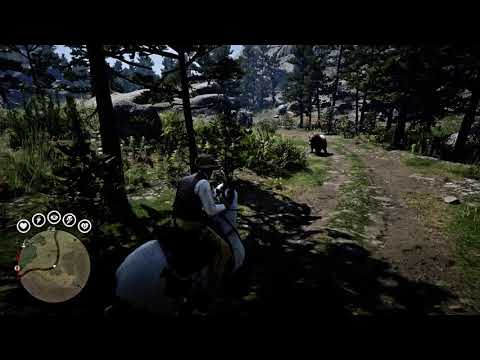 Horse chases Grizzly Bear, RDO - YouTube