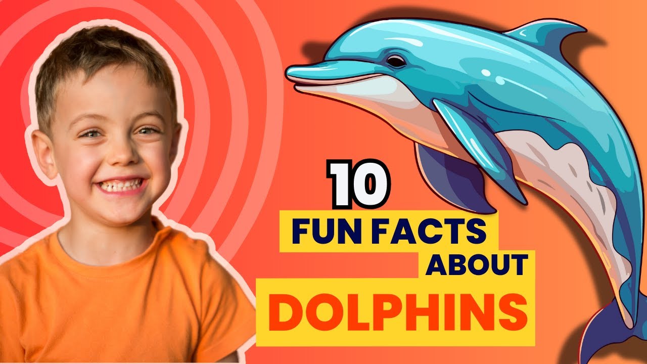 Dolphin 10 Fun Facts About Dolphins For Kids YouTube dolphin-10-fun-facts-about-dolphins-for-kids-youtube