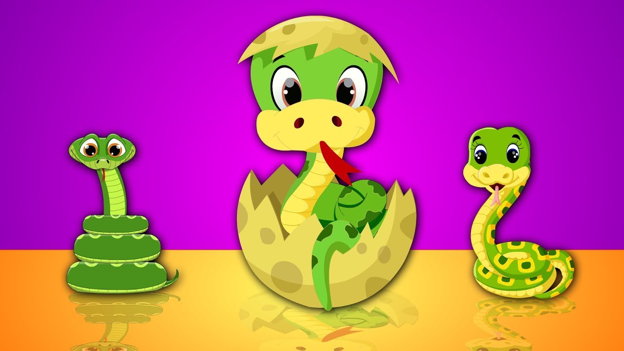 Finger Family | Snake Finger Family | Education and Nursery Rhymes for ...