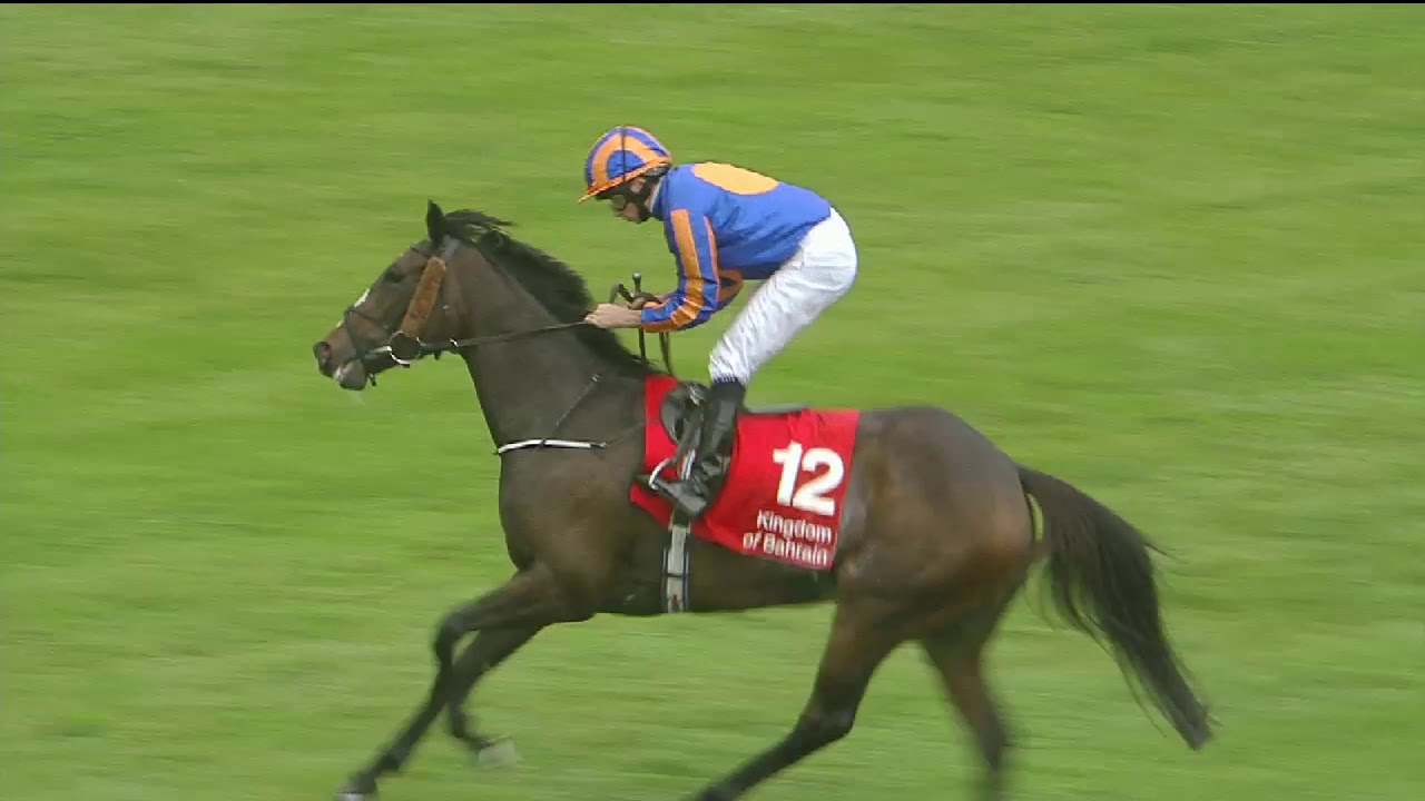 2017 Kingdom Of Bahrain Sun Chariot Stakes - Roly Poly - Racing TV ...