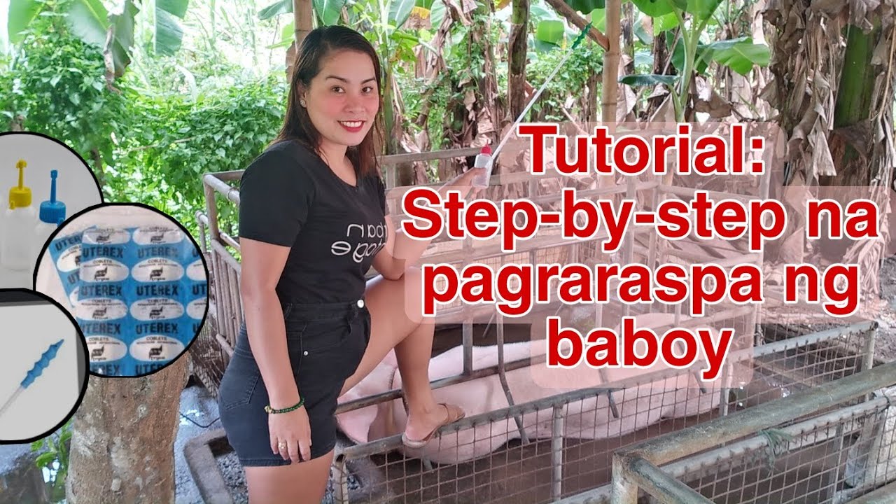 Ano ang step-by-step na pagraraspa ng baboy?| Tutorial |Oonagh Backyard Farm - YouTube
