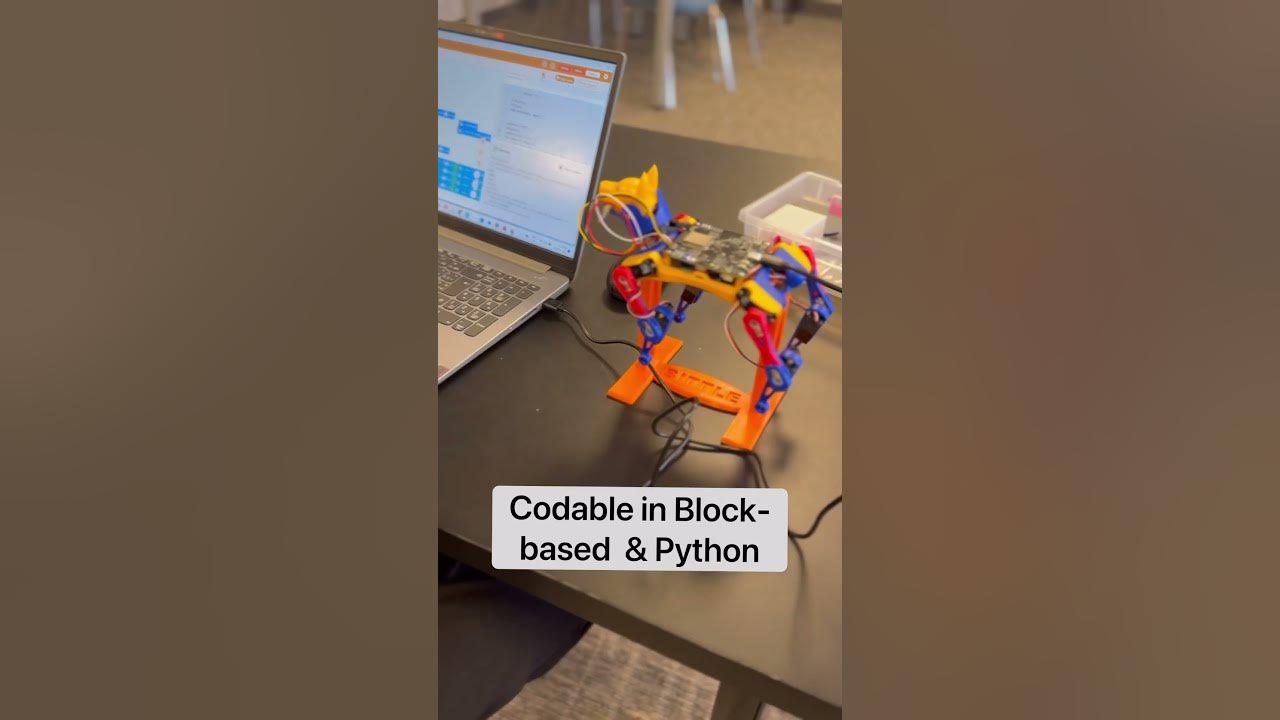 Coding Lessons with Petoi Bittle X Robot Dog | Petoi Camp Tutorial - YouTube