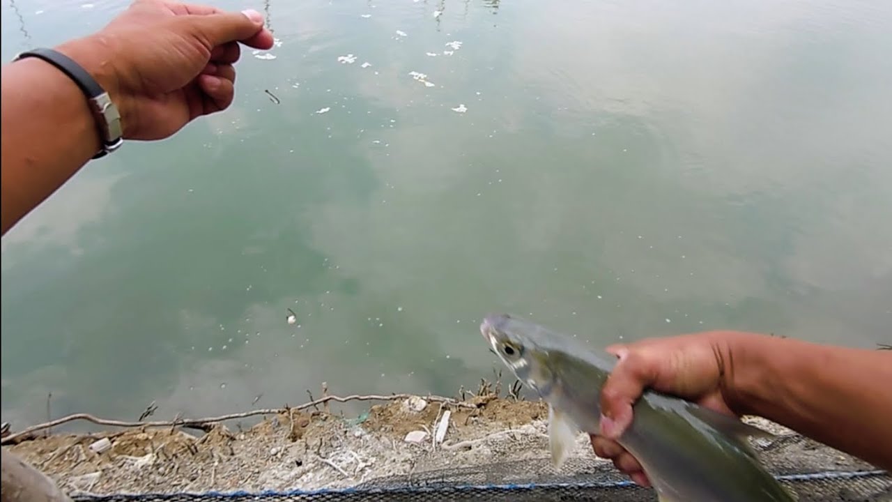 Fish On | Arroyo Fishing - YouTube