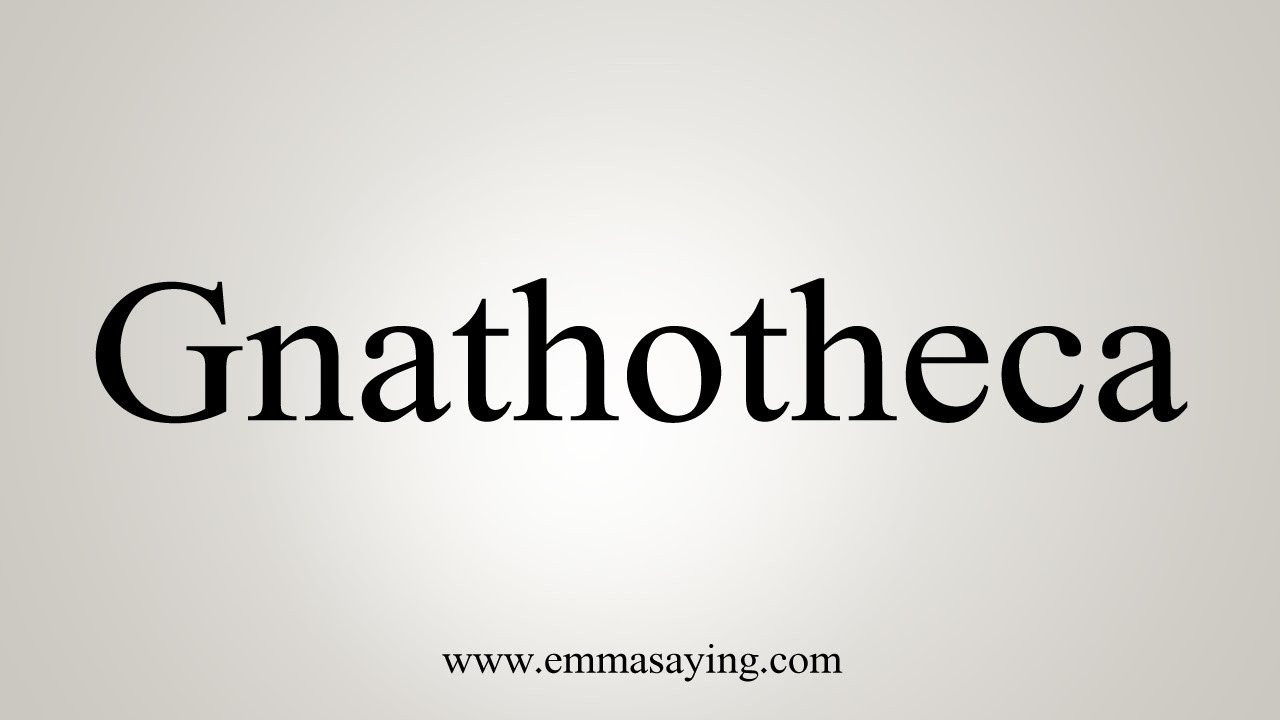 How To Say Gnathotheca - YouTube